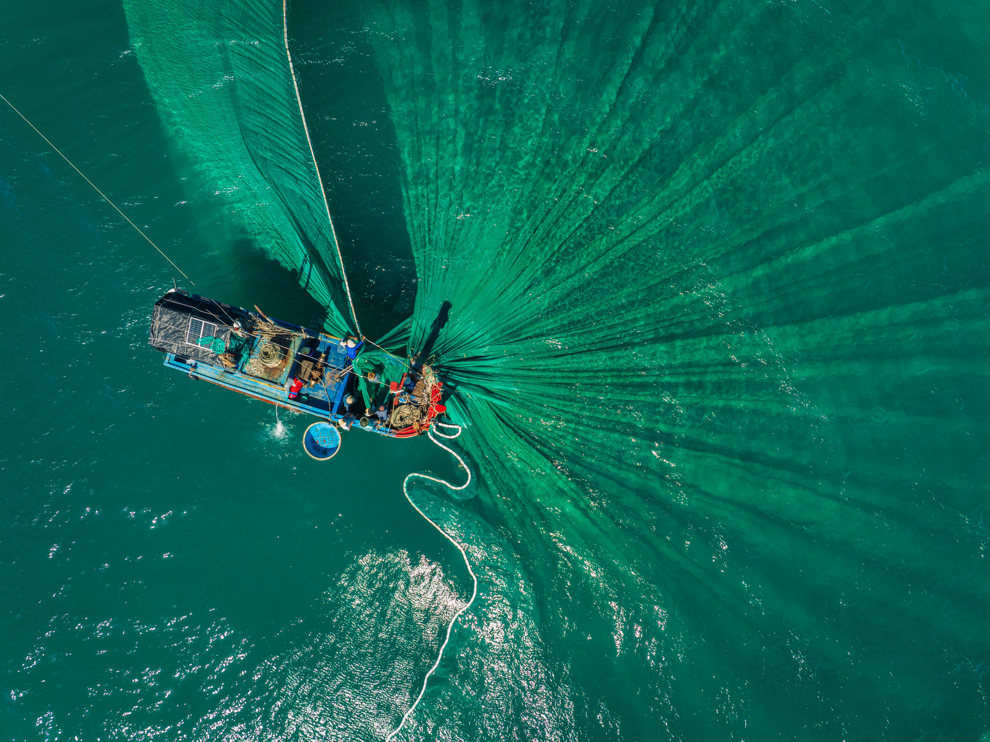 Everything You Should Know About Ghost Fishing Gear - Tynemouth Aquarium