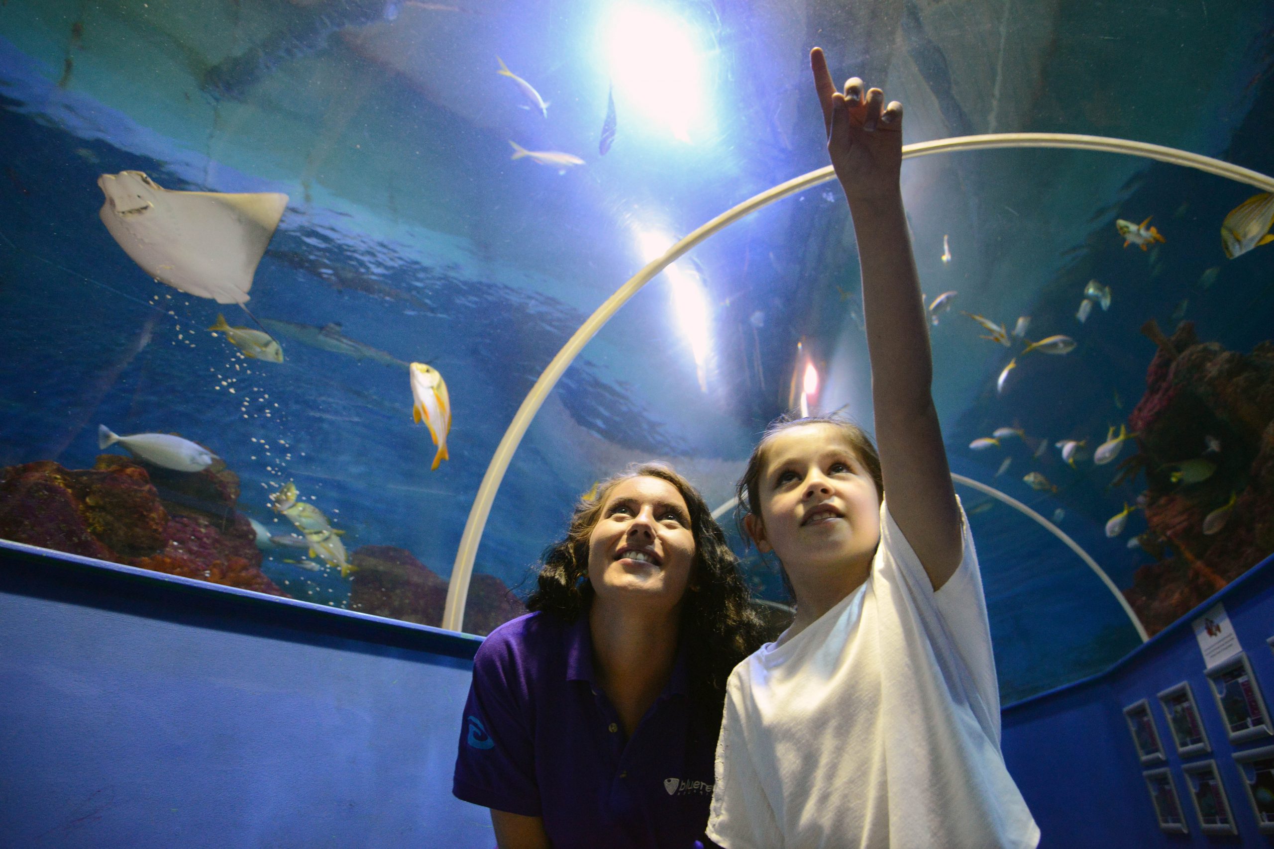 Work Experience | Events & Experiences | Tynemouth Aquarium