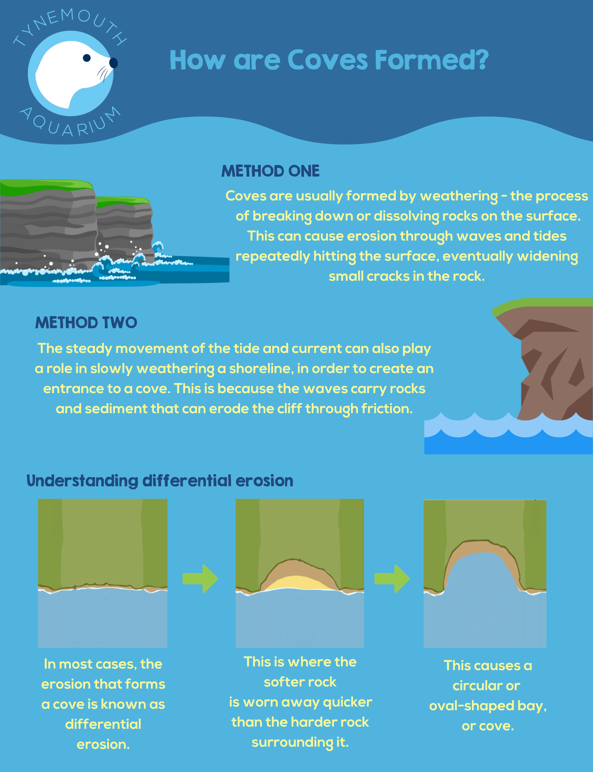 How Are Coves Formed? - Tynemouth Aquarium